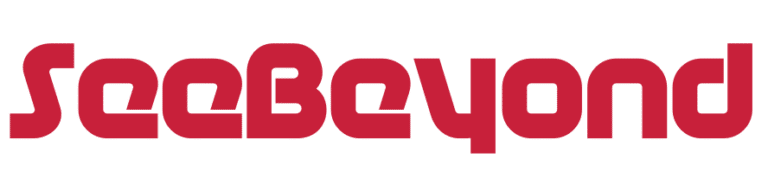 SeeBeyond: Meet the IoT Solution