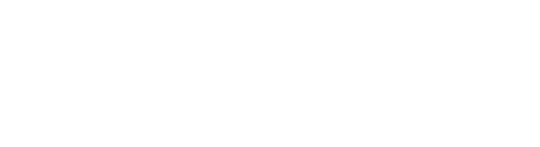 SeeBeyond: Meet the IoT Solution